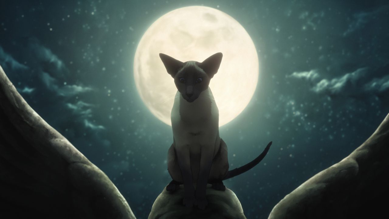 A Dream of a Thousand Cats - Submarine